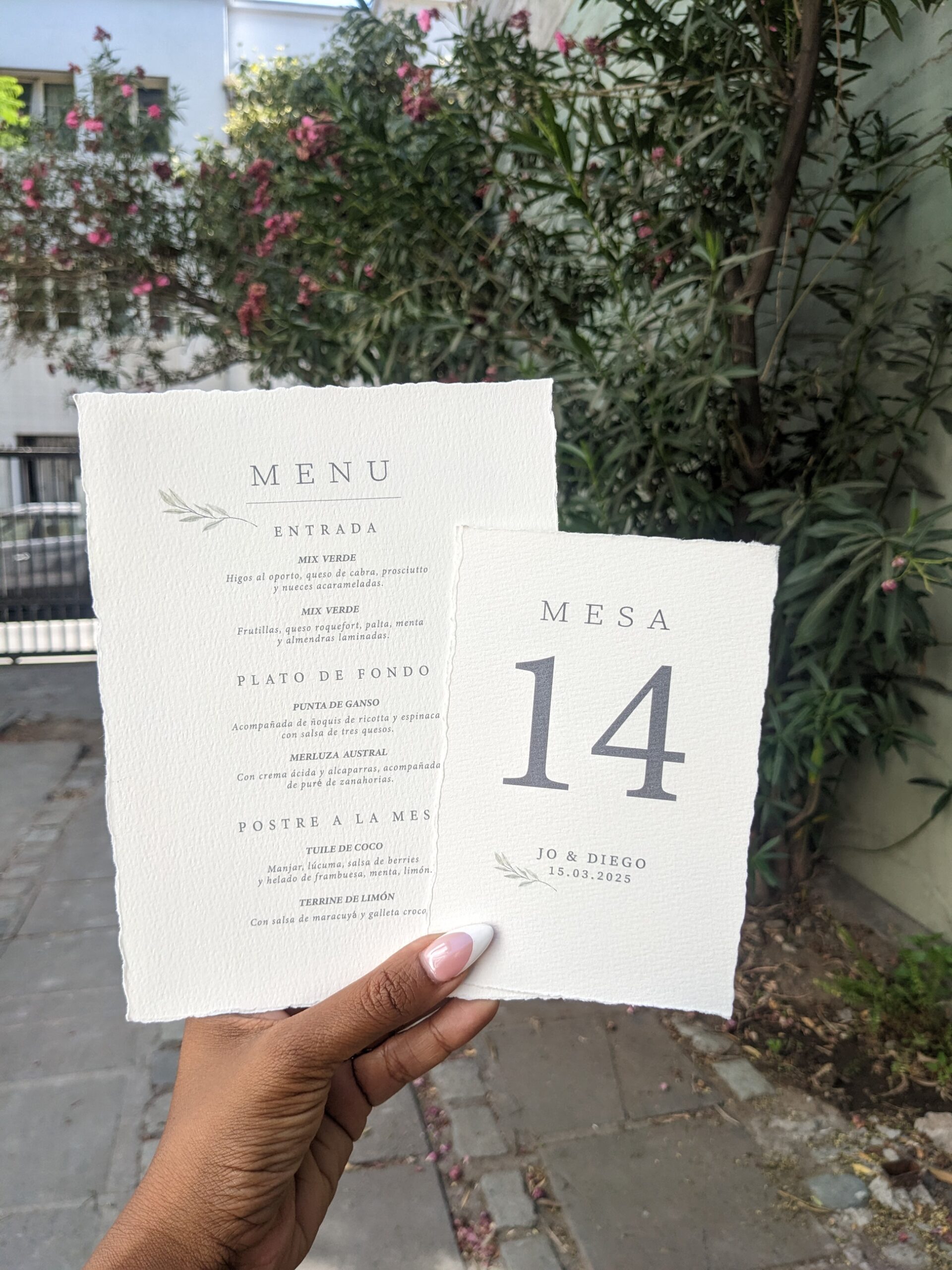 Servicio de Impresión – Cactus Atelier